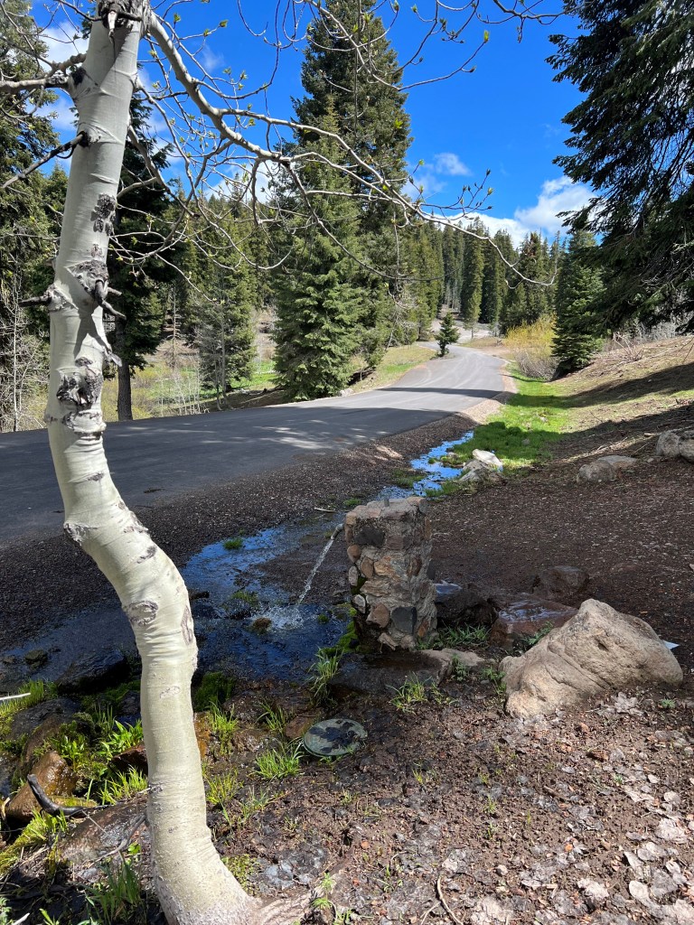 Juanita Lake Honey Badger – Honey Badger Rides