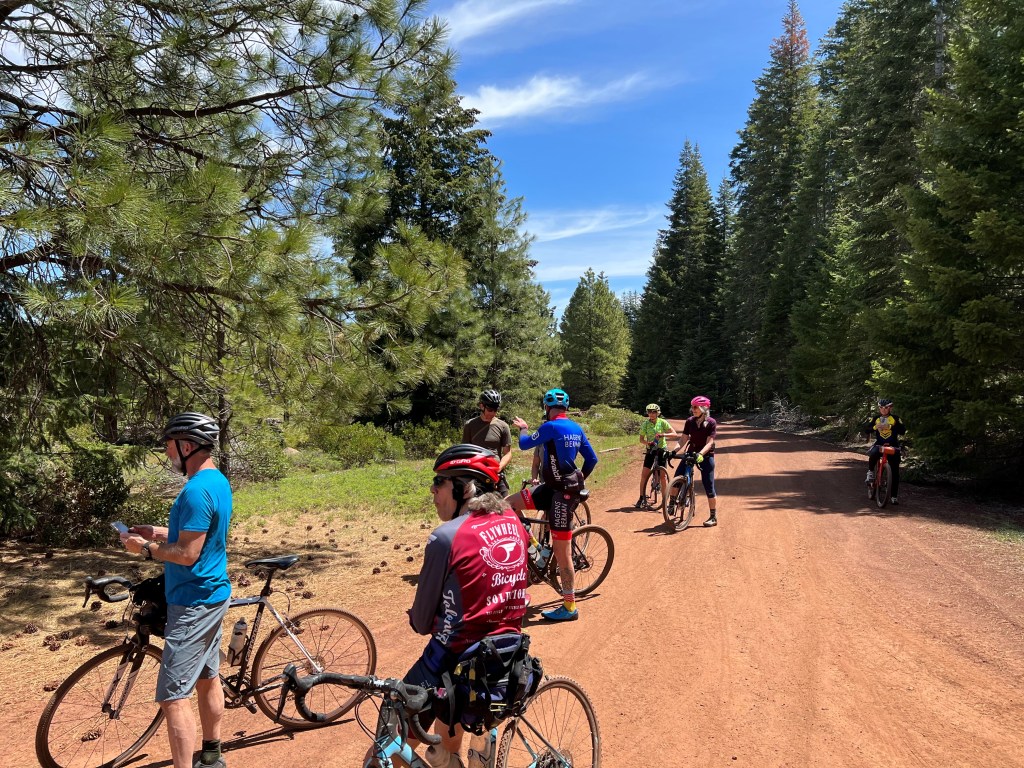 Jenny Creek Honey Badger – Honey Badger Rides