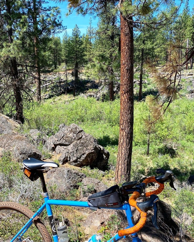 Jenny Creek Honey Badger – Honey Badger Rides