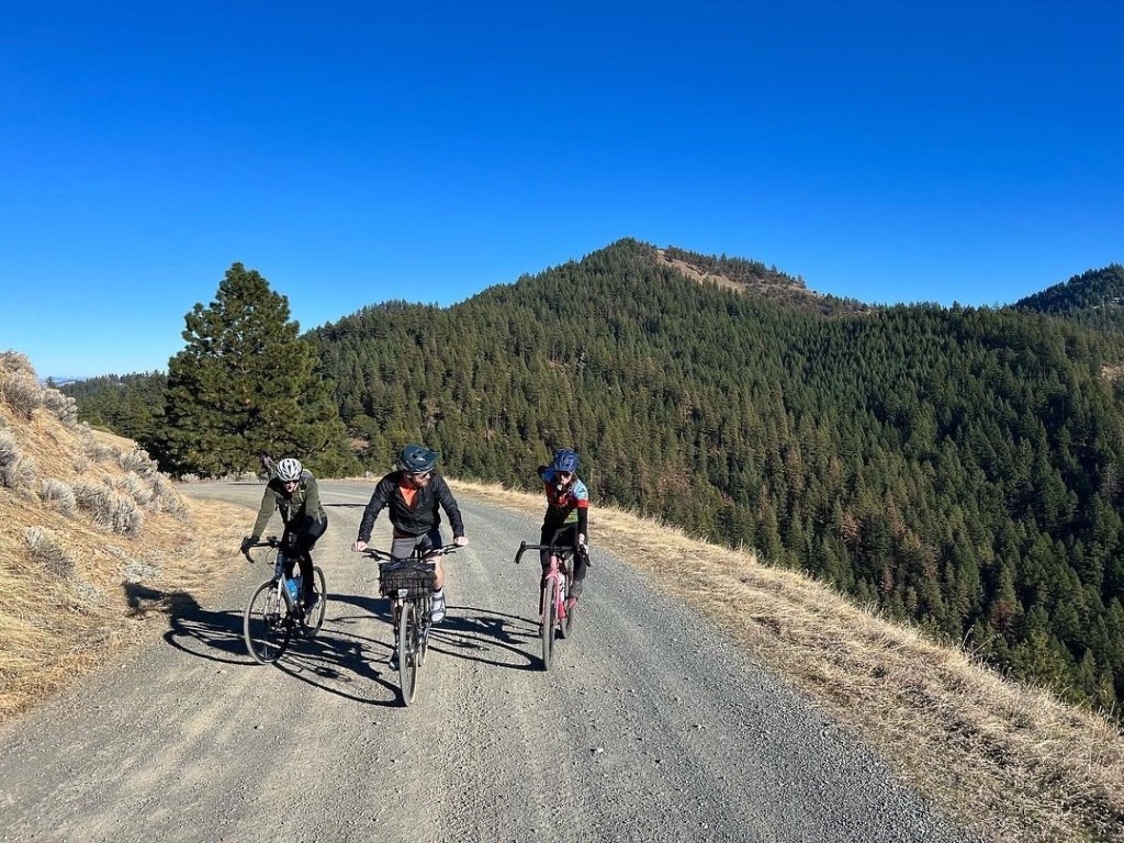 Flywheel Honey Badger – Honey Badger Rides